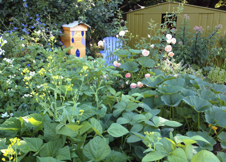 Melissa Bees » Garden for Hive Medicine