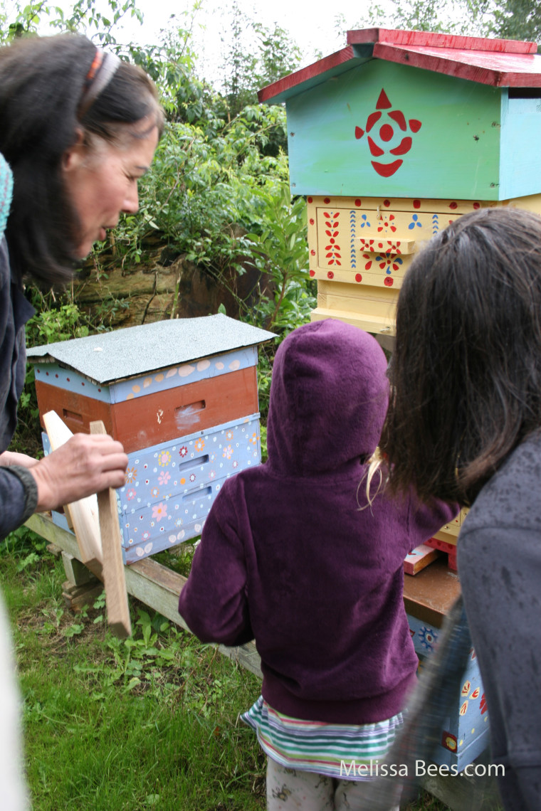 Melissa Bees » Natural Beekeeping Trust-Heidi